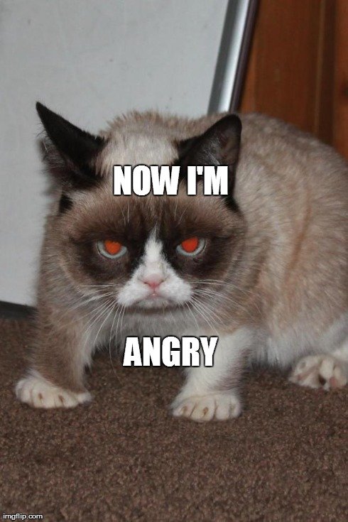 What Causes Red Eye Effect In Photographs? » ScienceABC