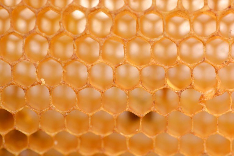 Why Do Bees Love Hexagons? » ScienceABC