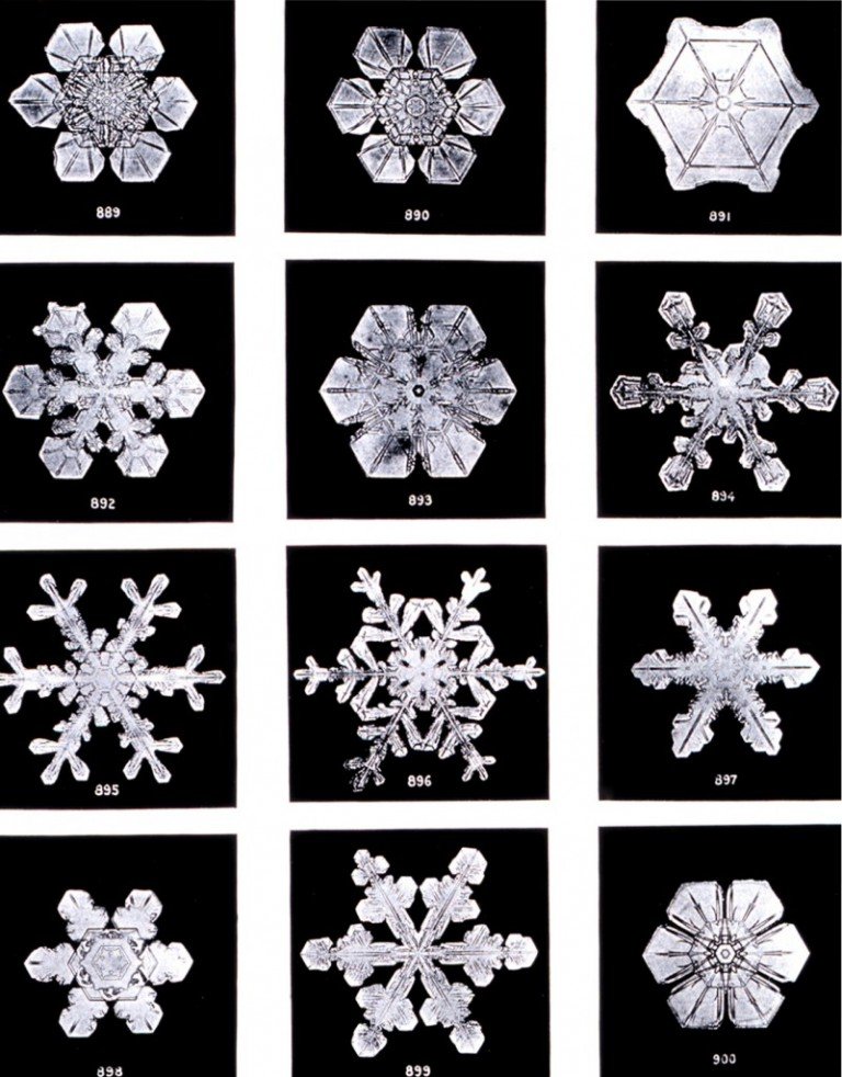 Why Do Snowflakes Have Such Fascinating Shapes? » ScienceABC
