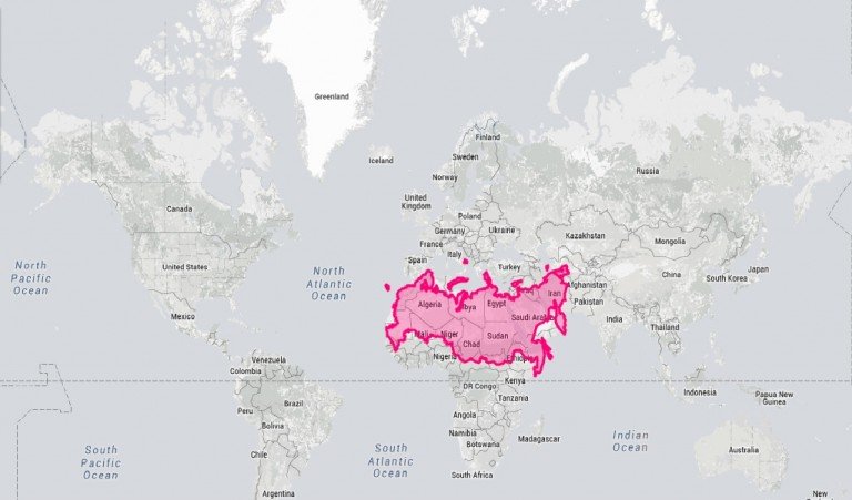 Mercator Projection: Why Flat (2D) Map Of The World Is Wrong And Distorted?