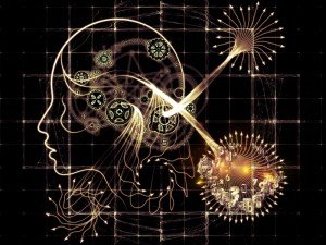 What Makes Us Human And Separates Us From Animals? » ScienceABC