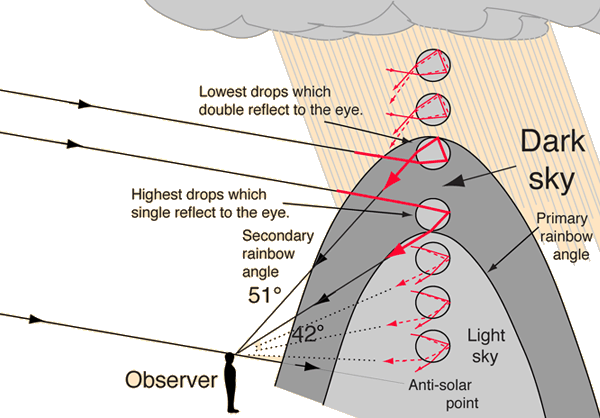 Are Rainbows All the Same? » Science ABC