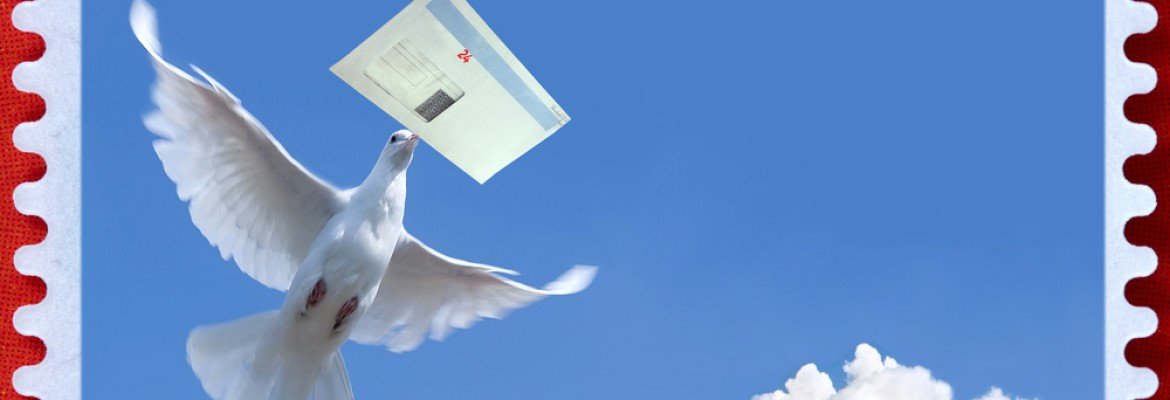 How Does Pigeon Mail Work - Infoupdate.org
