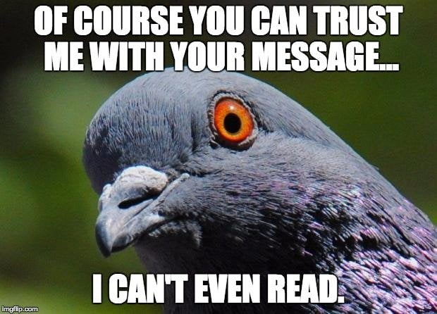 How Do Carrier Pigeons Know Where To Go?