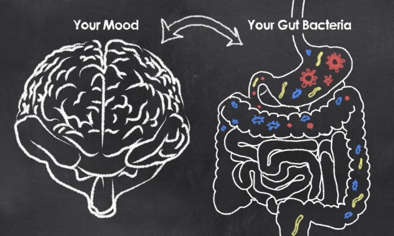 Good Bacteria Vs. Bad Bacteria: How Bacteria Can Be Healthy Too ...