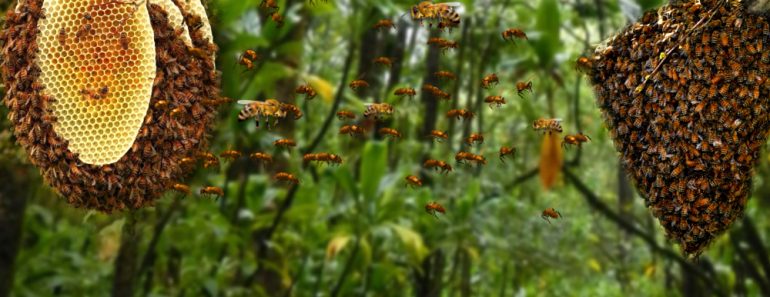 Science ABC » Page 188 of 234 » Science Explained In Simple Words