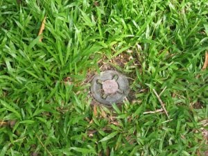 How Do Landmines Work? Why They Explode When Stepped On?