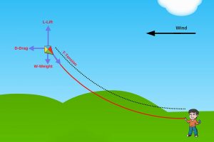 The Science Of Flying A Kite » ScienceABC