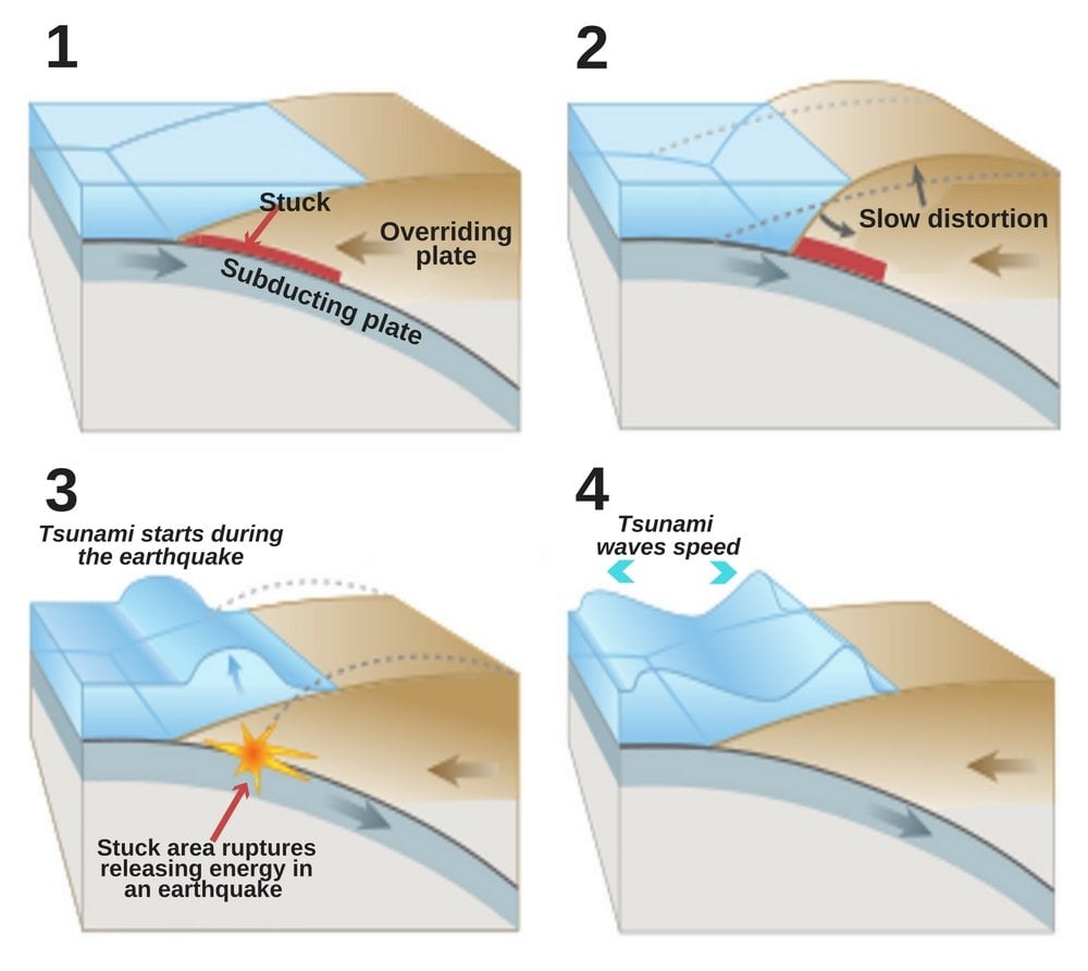 The Science Of A Tsunami: What Causes Tides To Become So Gigantic?