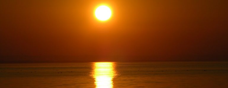 ScienceABC » Page 178 of 228 » Science Explained In Simple Words