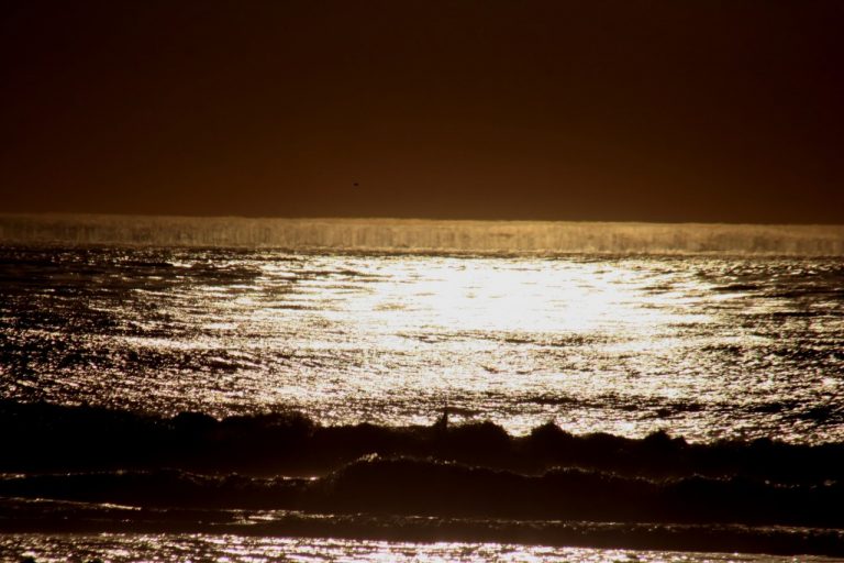 Why Does The Sun Reflect Off Seas And Oceans? » ScienceABC
