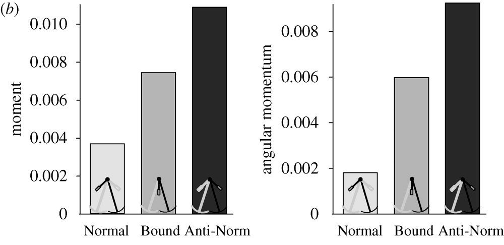 Why Do We Swing Our Arms When We Walk?