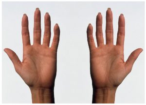 How High Can You Count On Your Fingers? » ScienceABC