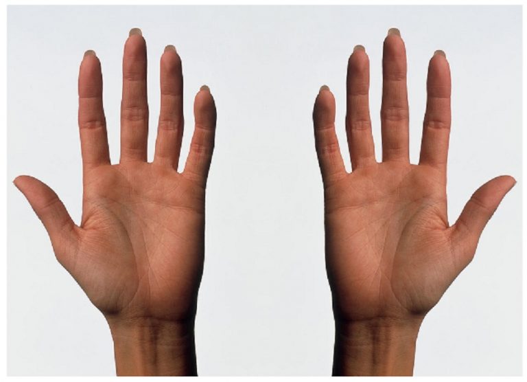 How High Can You Count On Your Fingers? » ScienceABC