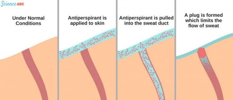 How Do Deodorants And Antiperspirants Work? » ScienceABC