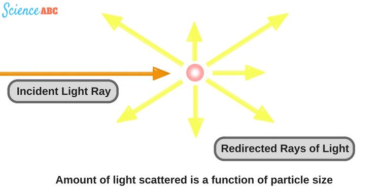 Why Is Soap Lather Always White? » ScienceABC
