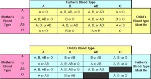 Why Do Humans Have Different Blood Types? » ScienceABC