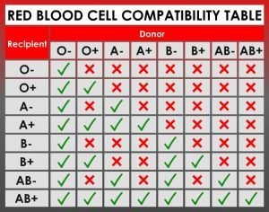 Why Do Humans Have Different Blood Types? » ScienceABC