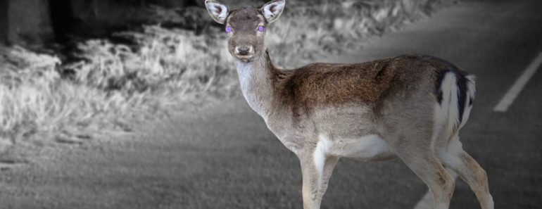 Science ABC » Page 163 of 233 » Science Explained In Simple Words