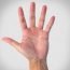 Why Do We Have Lines On Our Palms? » Science ABC