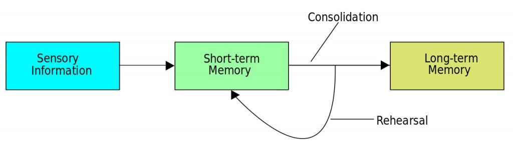 How To Remember Everything You Read More Effectively? – Stork