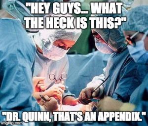 What Does The Appendix Do? » ScienceABC