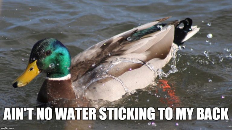 Is It Duck Tape Or Duct Tape? » ScienceABC