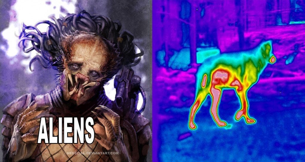 Why Are Infrared Waves Often Called Heat Waves?