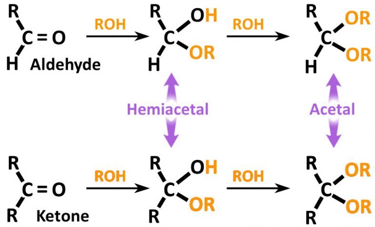 What's The Difference Between Epimers And Anomers? » ScienceABC