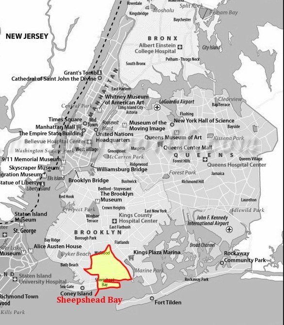 Sheepshead Fish: Facts About The Fish With Human Teeth » ScienceABC