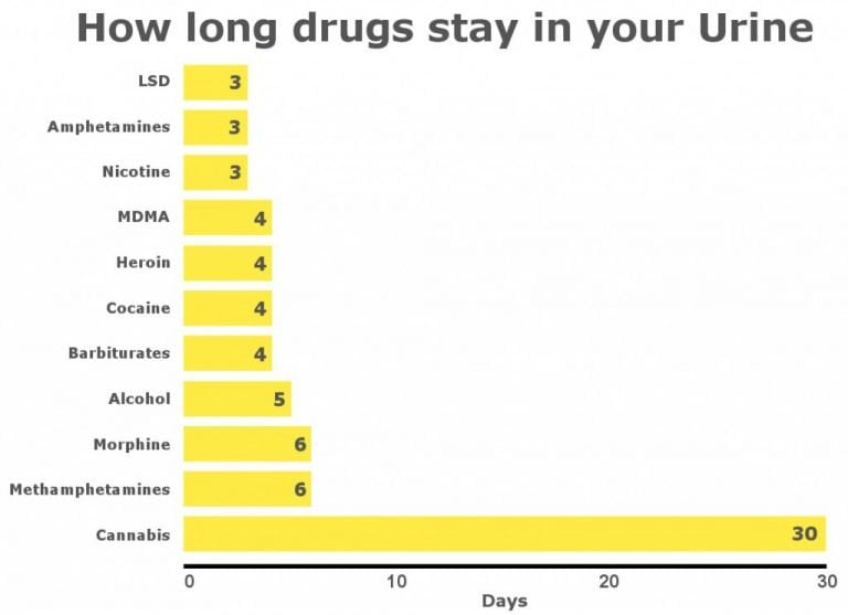 How Long Do Drugs Stay In Your Hair, Blood And Urine? How Long Do Drugs Stay In Your Hair, Blood And Urine?