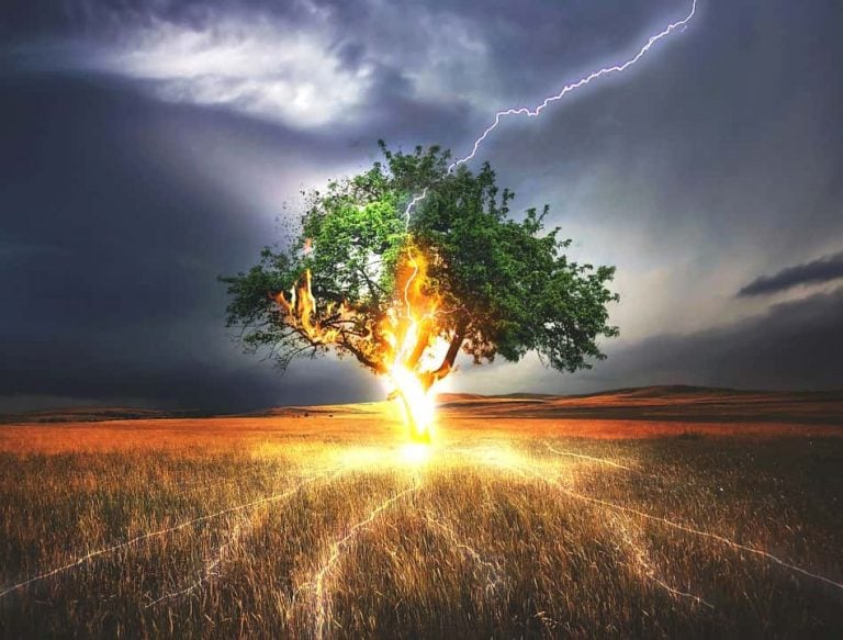 Why Does Lightning Sometimes Cause Trees To Explode? » ScienceABC