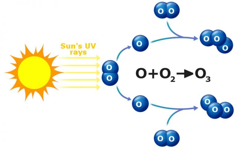Why Ozone Concentration Is Very Less In Lower Atmosphere/Ground?