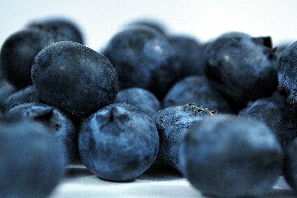 What Is Huckleberry And How Is It Different From Blueberry?