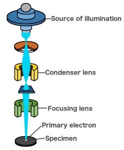 Electron Microscope: How Does An Electron Microscope Work?