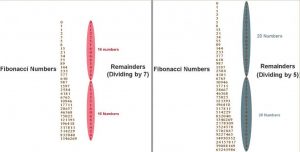 Fibonacci Sequence | Series | Spiral | Number | Code | Ratio Explained