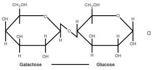 What Is Lactose Intolerance? What Are Its Causes, Symptoms And Signs?