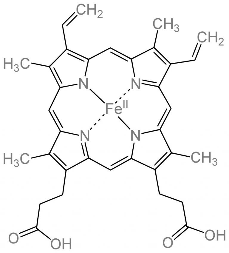 Porphyria: Definition, Causes, Symptoms and Treatment