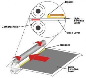 Polaroid Camera: How Do Polaroids Work?