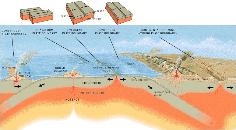 Continental Drift Theory: How Is It Different From Plate Tectonics?