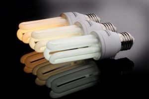 Bulbs: Construction, Working, Principles And Types