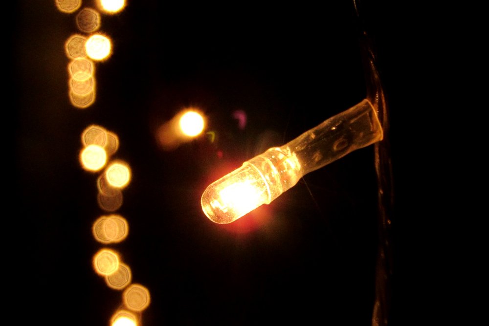 Bulbs: Construction, Working, Principles And Types