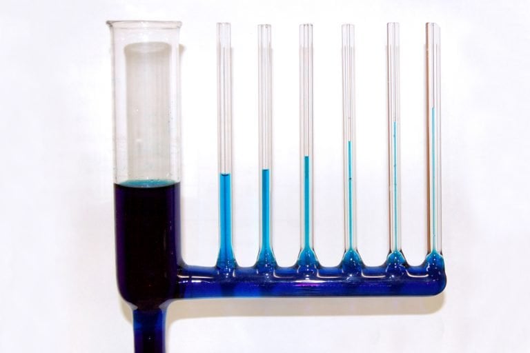 What Is Capillary Action? » ScienceABC