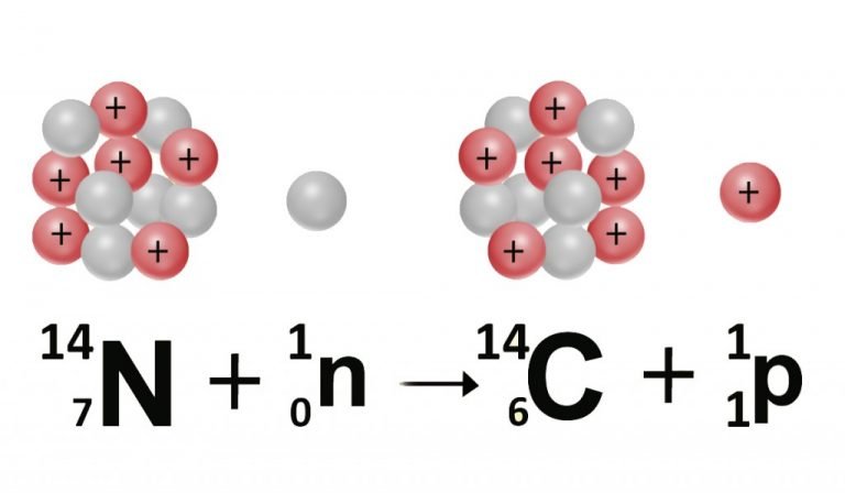 How Carbon Dating Works?