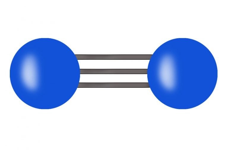 What Is The Nitrogen Cycle? How Have Humans Affected It?