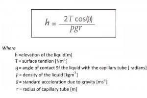 What Is Capillary Action? » Science ABC