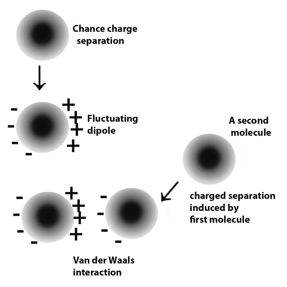 Van Der Waals Forces Intermolecular Bonding Van Der Waals Forces