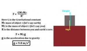 Why Free Falling 'Feels Weightless' Despite Gravity?