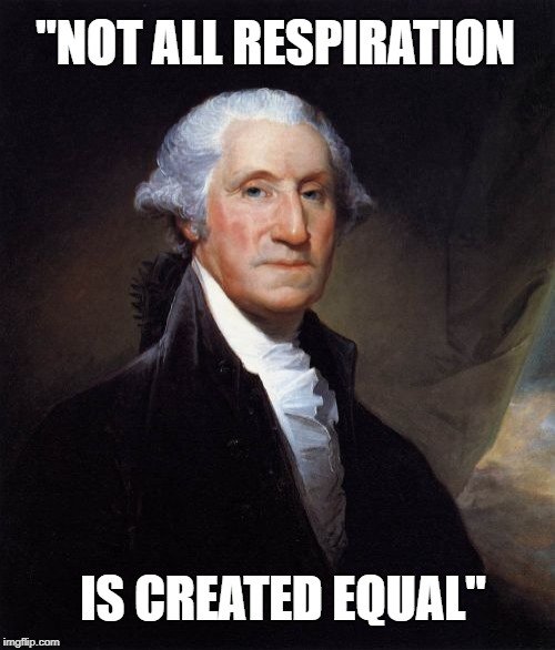 Cellular Respiration Memes