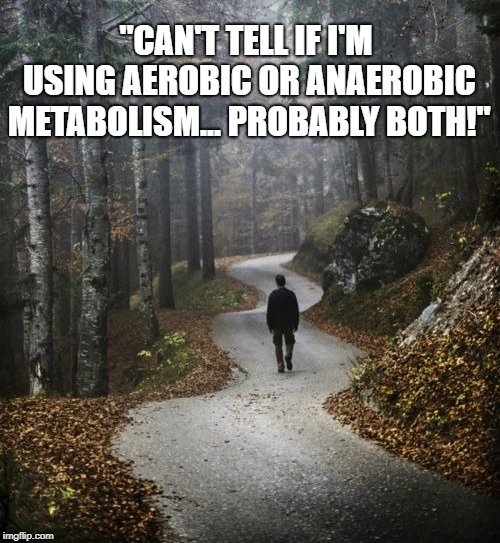 Aerobic Metabolism Vs Anaerobic Metabolism » ScienceABC